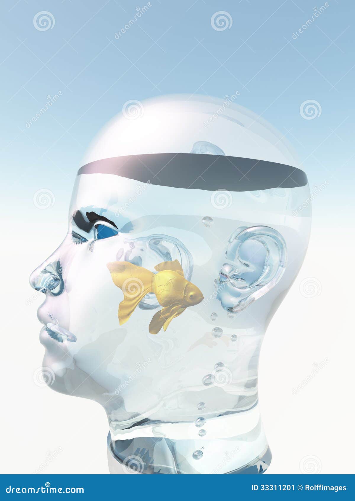 Human Head Gold Fish stock illustration. Illustration of graphic - 33311201