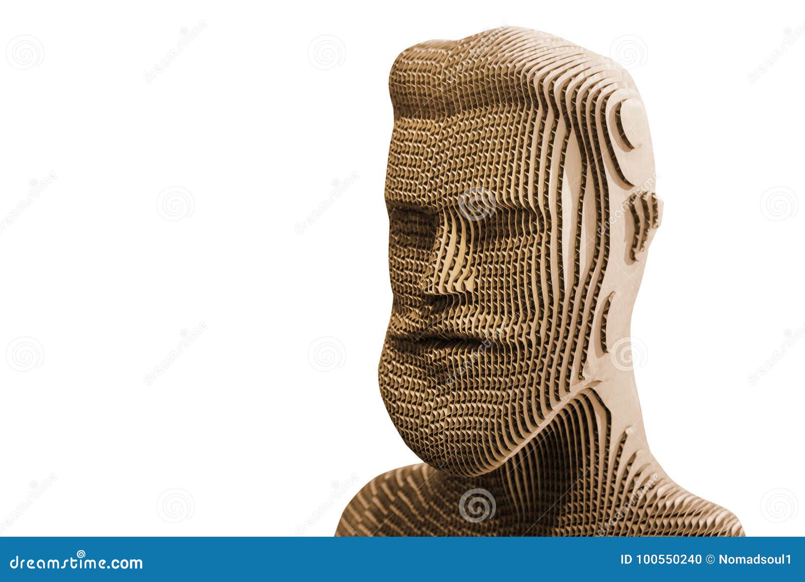 Human Head Model Isolated on White Background Stock Photo - Image of ...