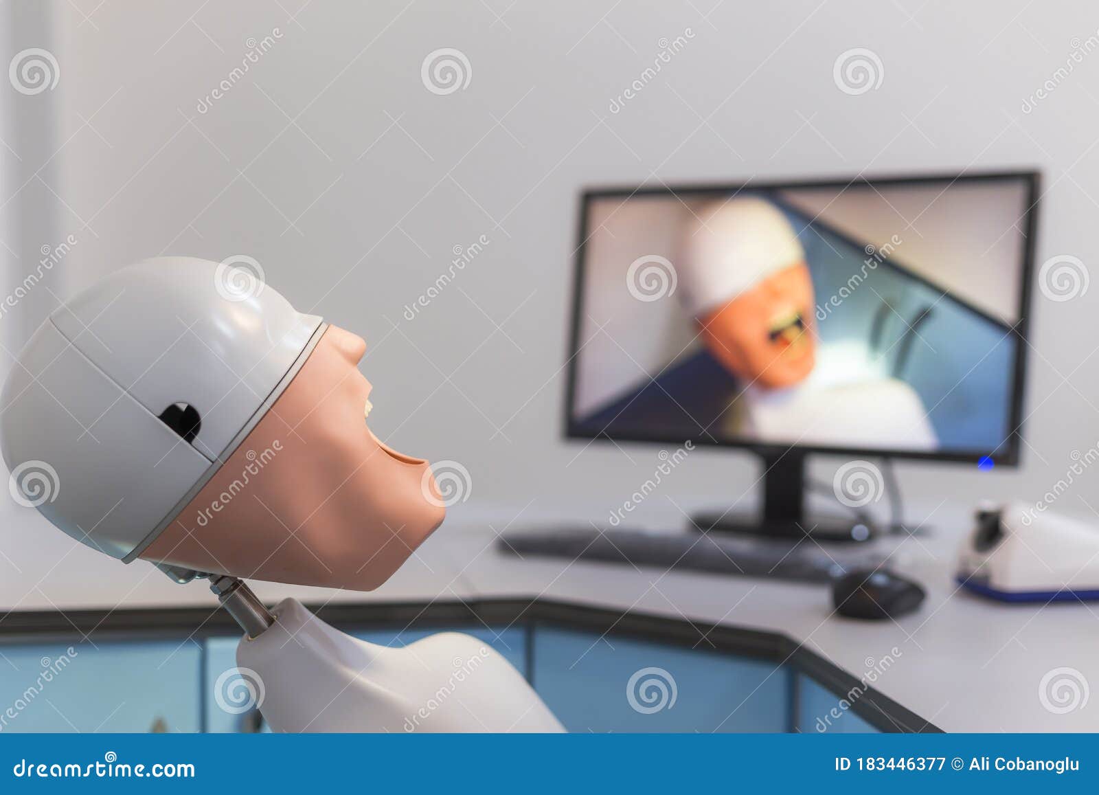 Phantom Head Model Used by Dentistry Students Stock Image - Image of ...