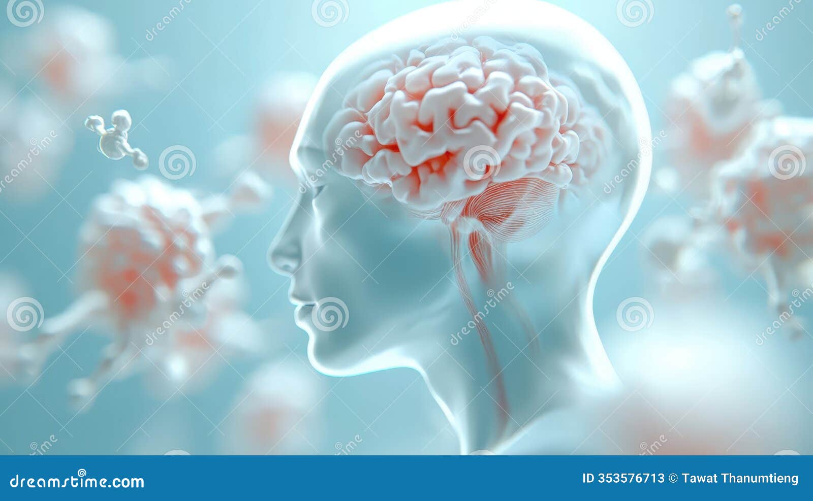 Human Head Shaped Brain, Exploring Intelligence, Consciousness, and the ...