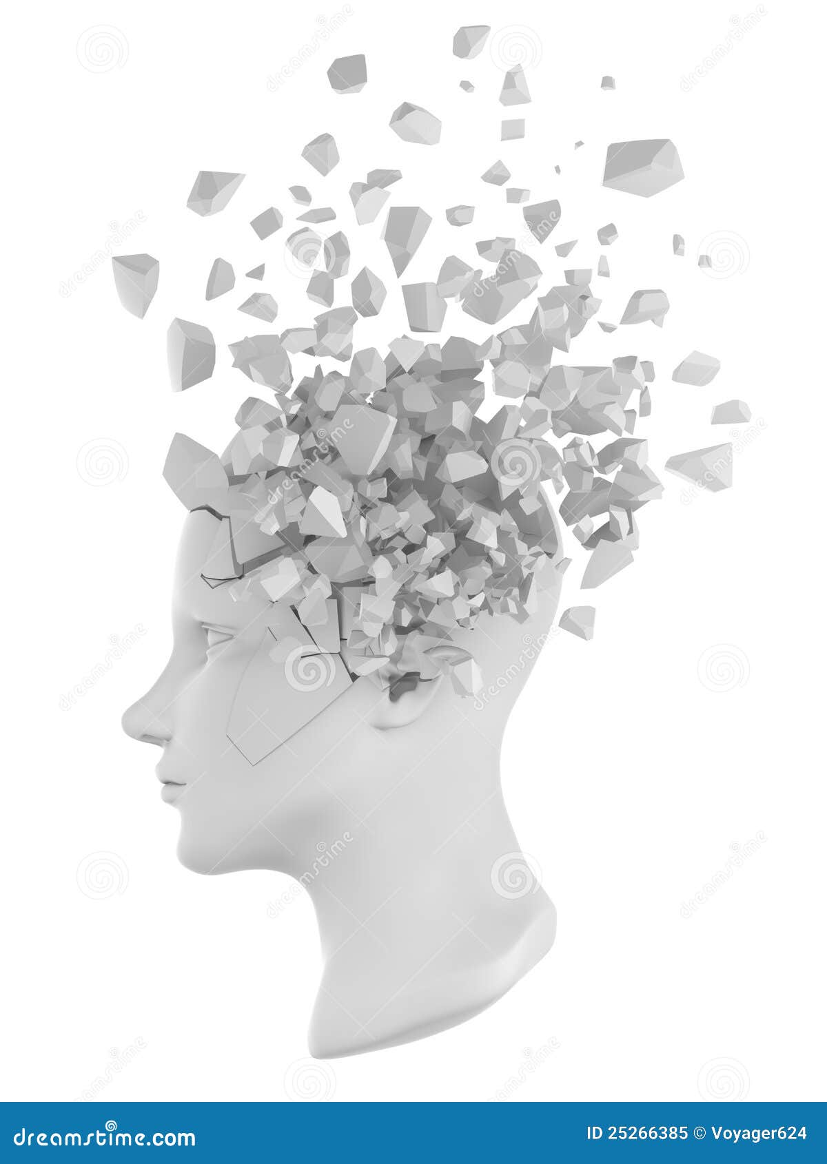 Shattered Human Brain. Stress Concept. Isolated Stock Photography ...