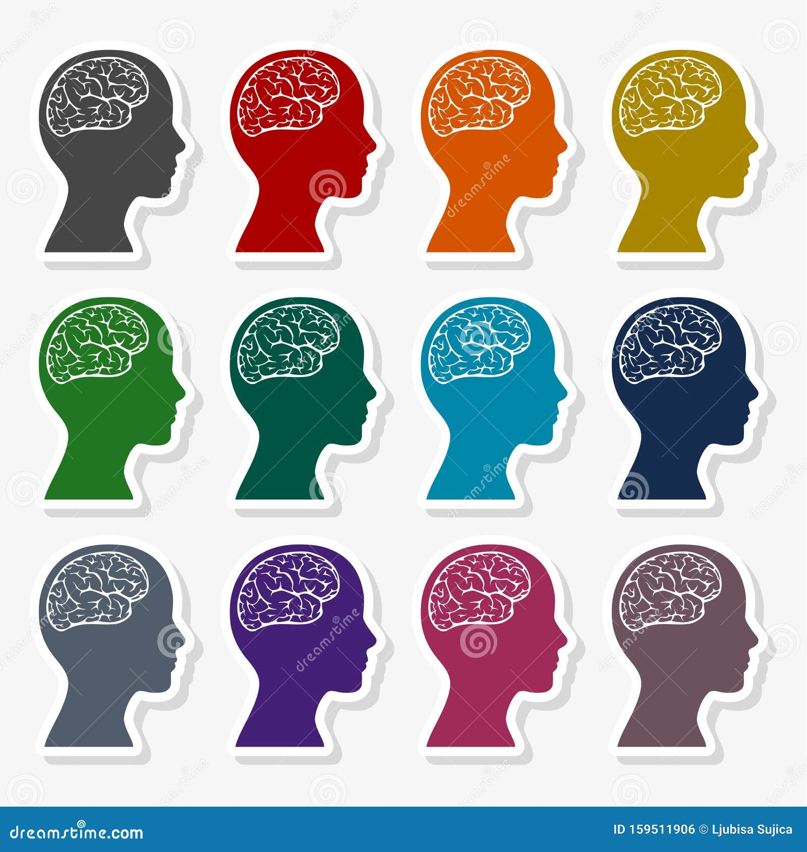 Structure Of The Brain Neuron Cartoon Vector | CartoonDealer.com #208049461