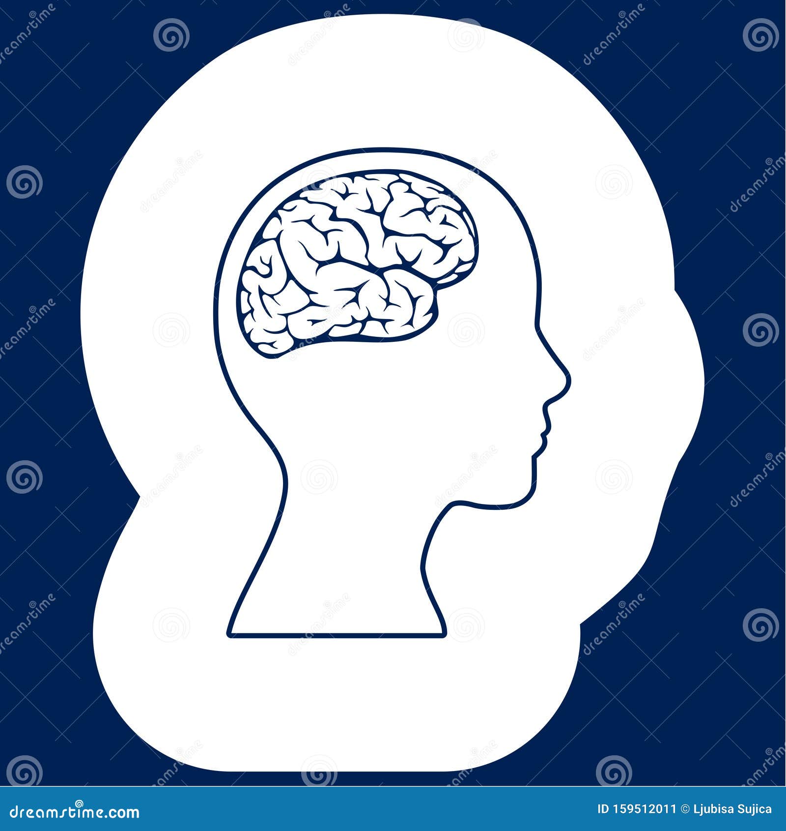Structure Of The Brain Neuron Cartoon Vector | CartoonDealer.com #210961231