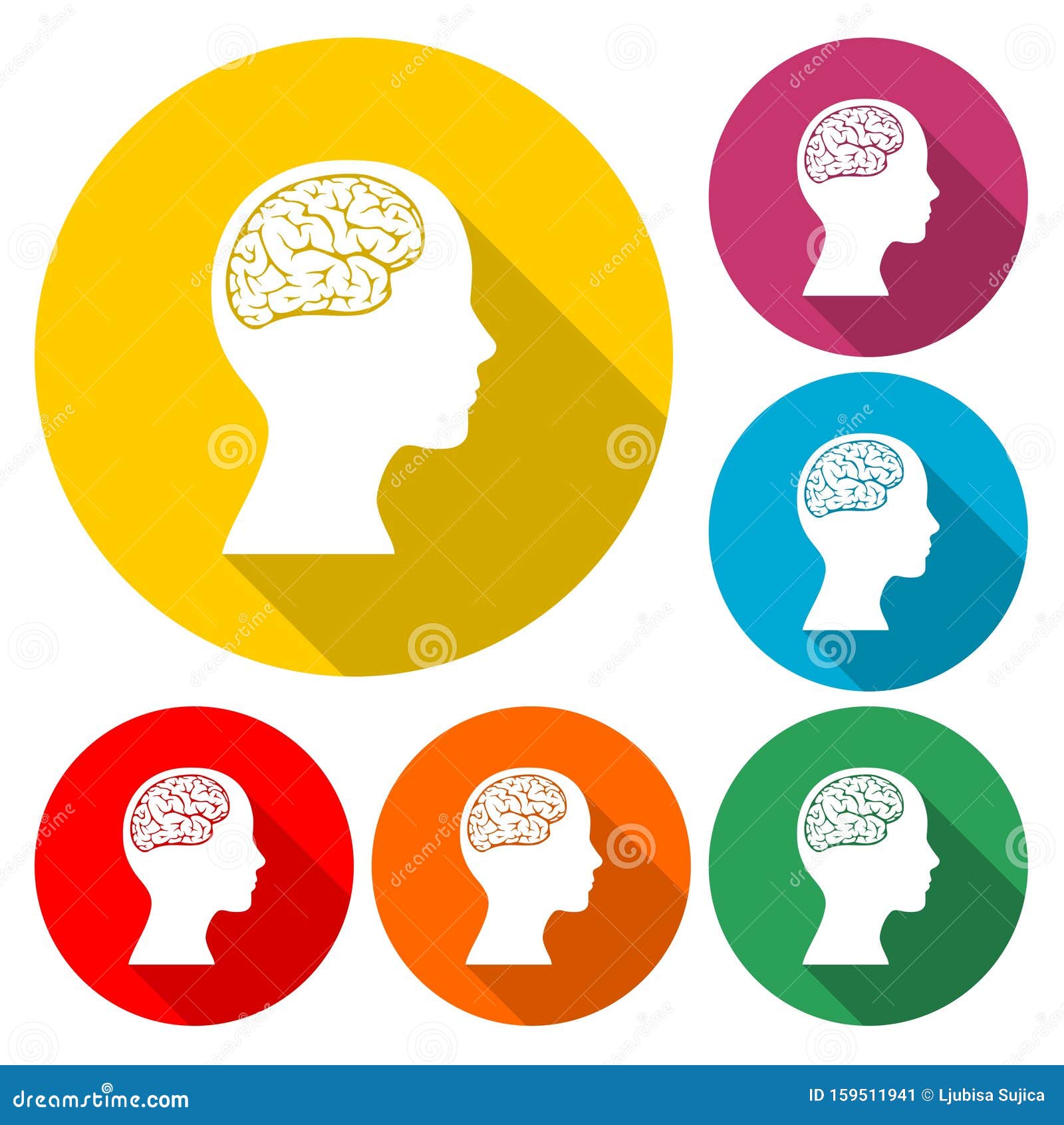 Human Head Silhouette and Structure of the Brain Stock Vector ...