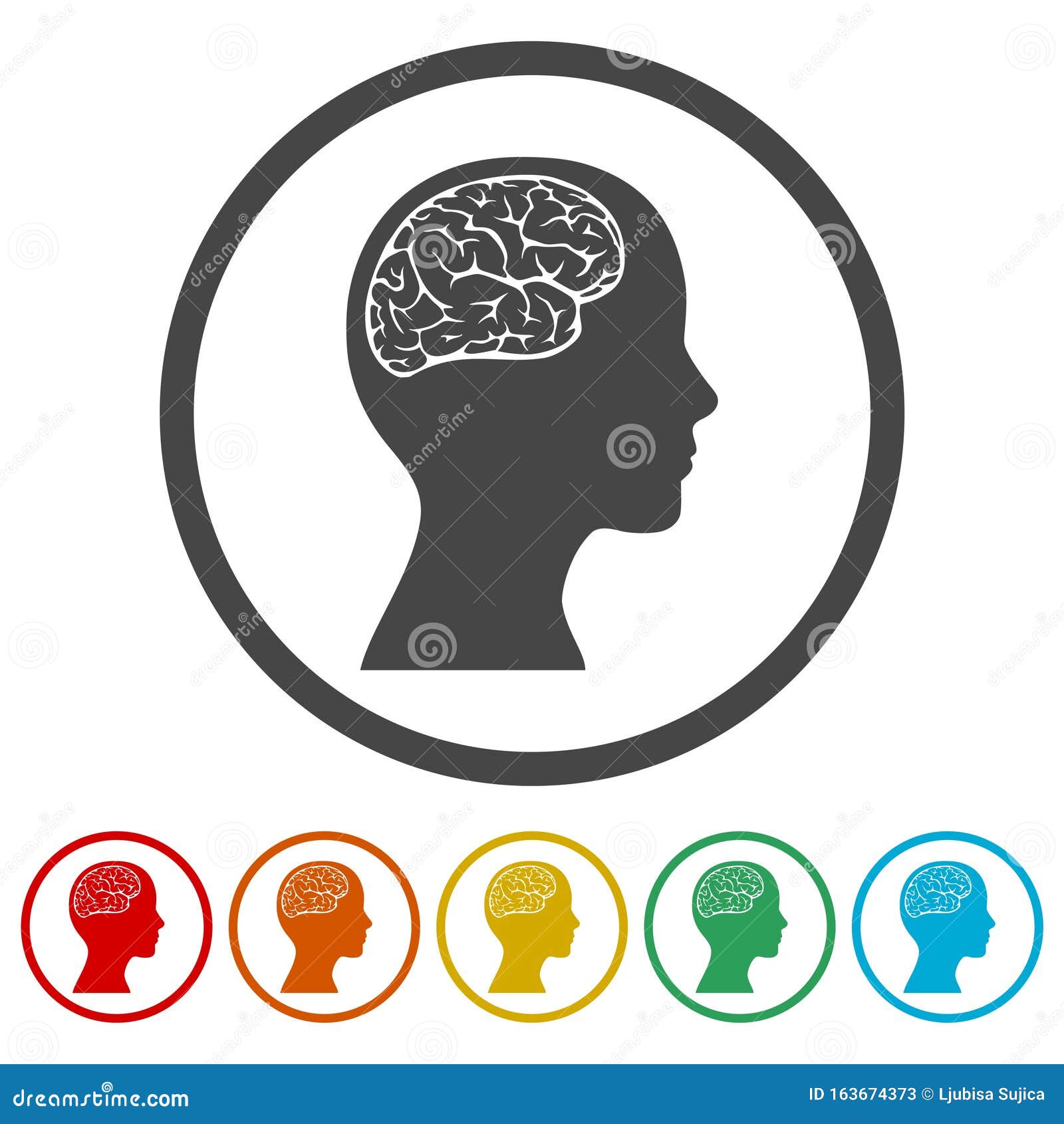 Human Head Silhouette and Structure of the Brain Icons Set Stock Vector ...
