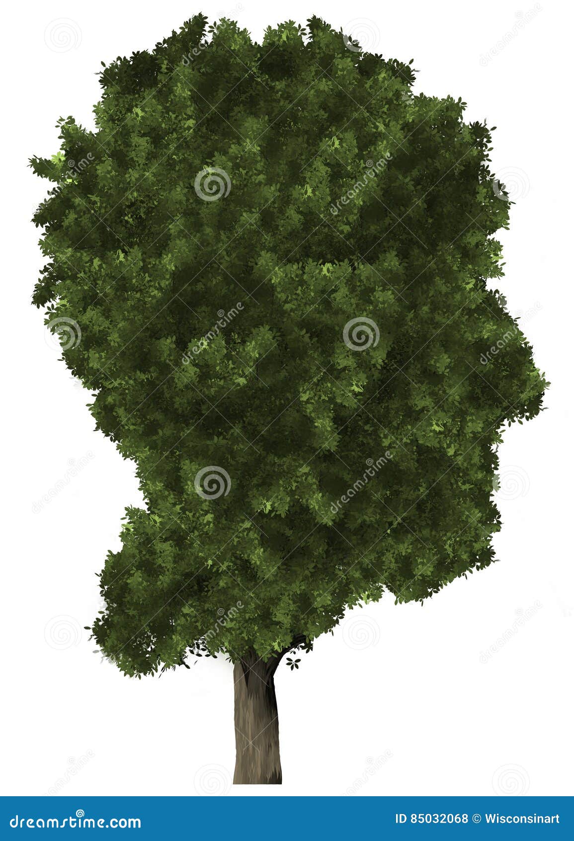 Human Head Tree, Nature, Isolated Stock Photo - Image of ...