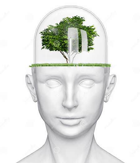 Human head with tree stock illustration. Illustration of face - 65507795