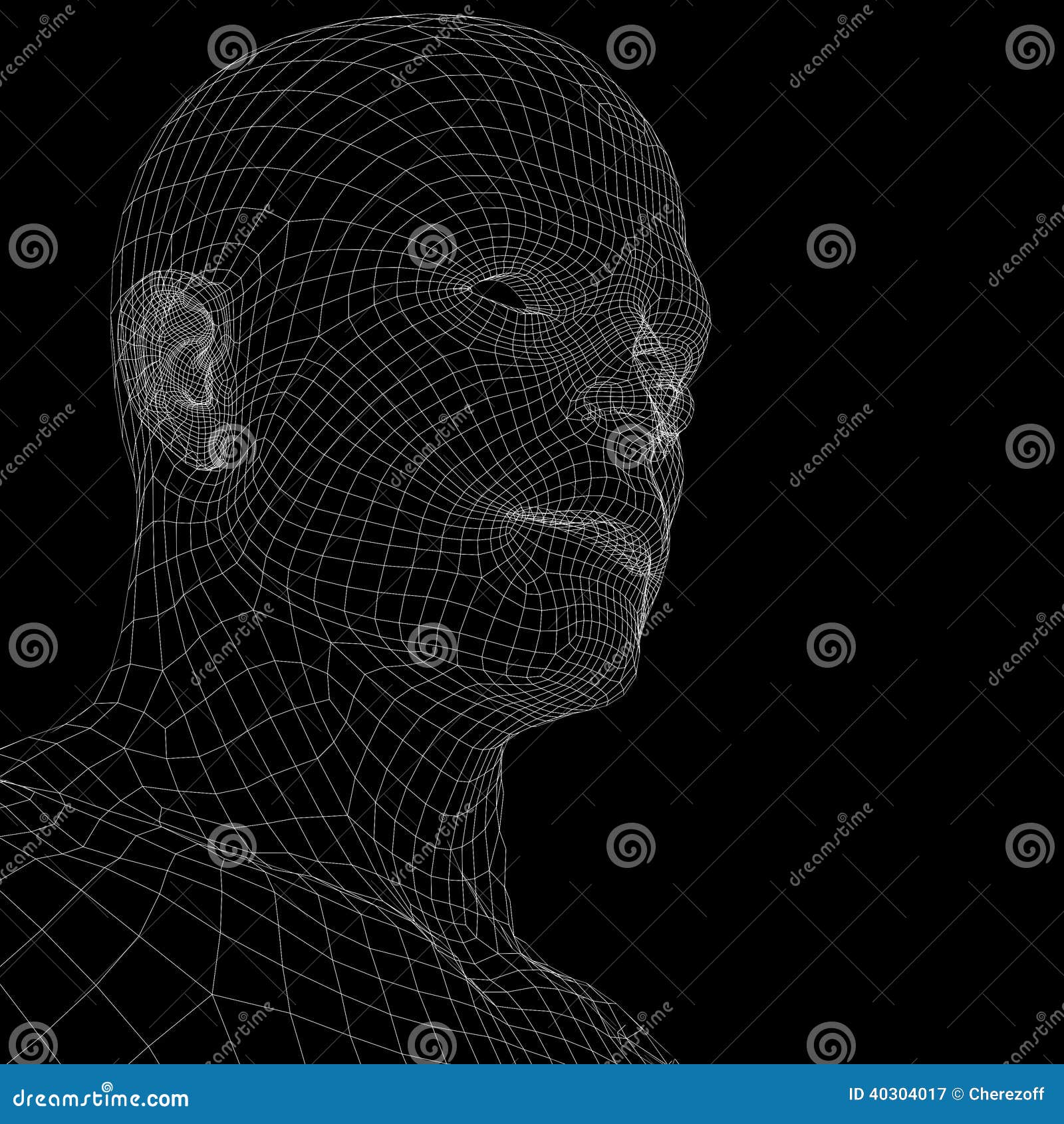 Human Head. Wire Frame Render Stock Illustration - Illustration of ...