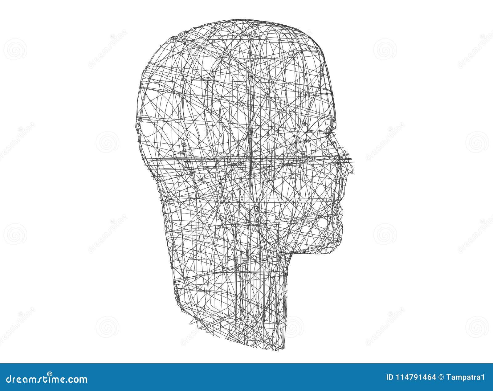 Human Head. Wireframe Model with Connection Lines on White, 3d Stock ...