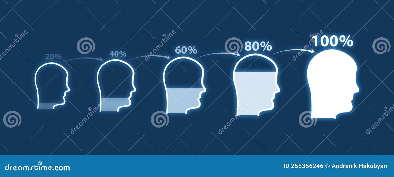 Human Heads. Brain Development Stock Illustration - Illustration of ...