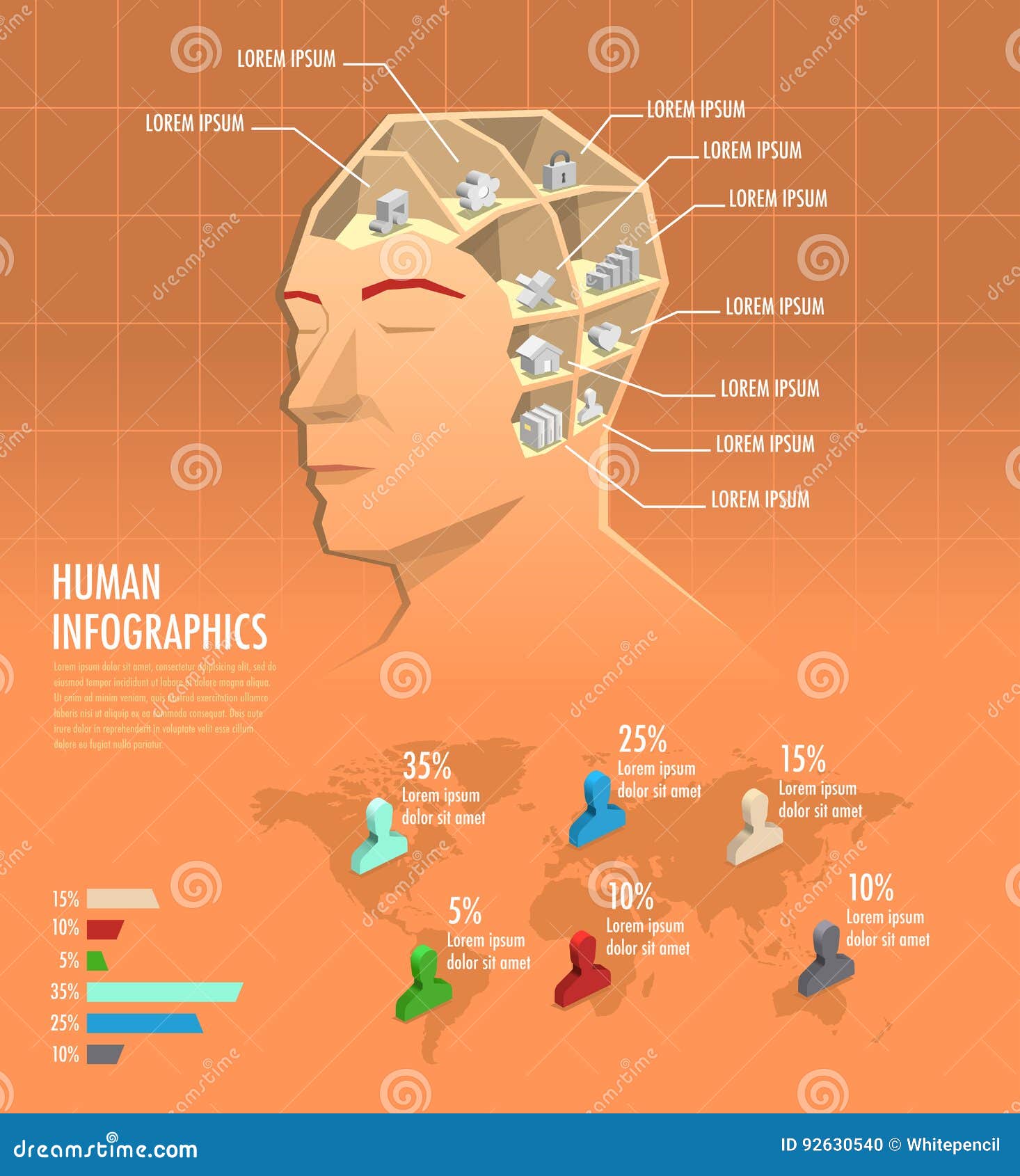 Human Health, Knowledge Infographic with Icons Inside the Head Stock ...