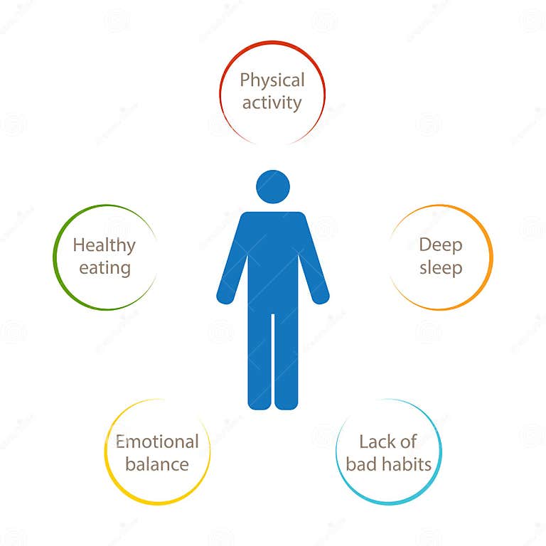 Human Health Problems. a Diagram of a Body Shape and Five Round Objects ...