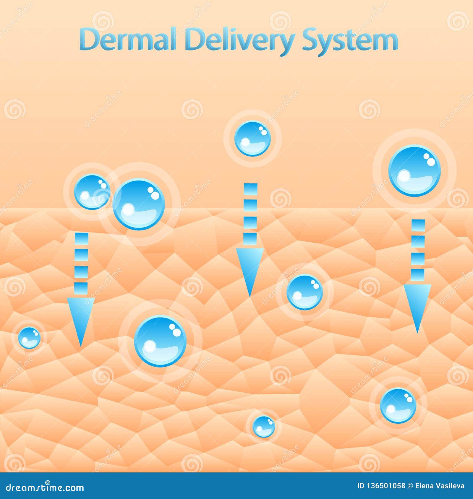 The Texture Of The Dermis. Background Epidermis. Cytology Histological ...
