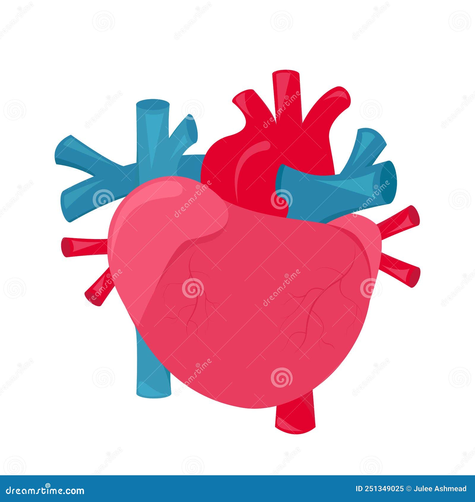 Human Heart Cartoon Vector Illustration Graphic Stock Illustration ...