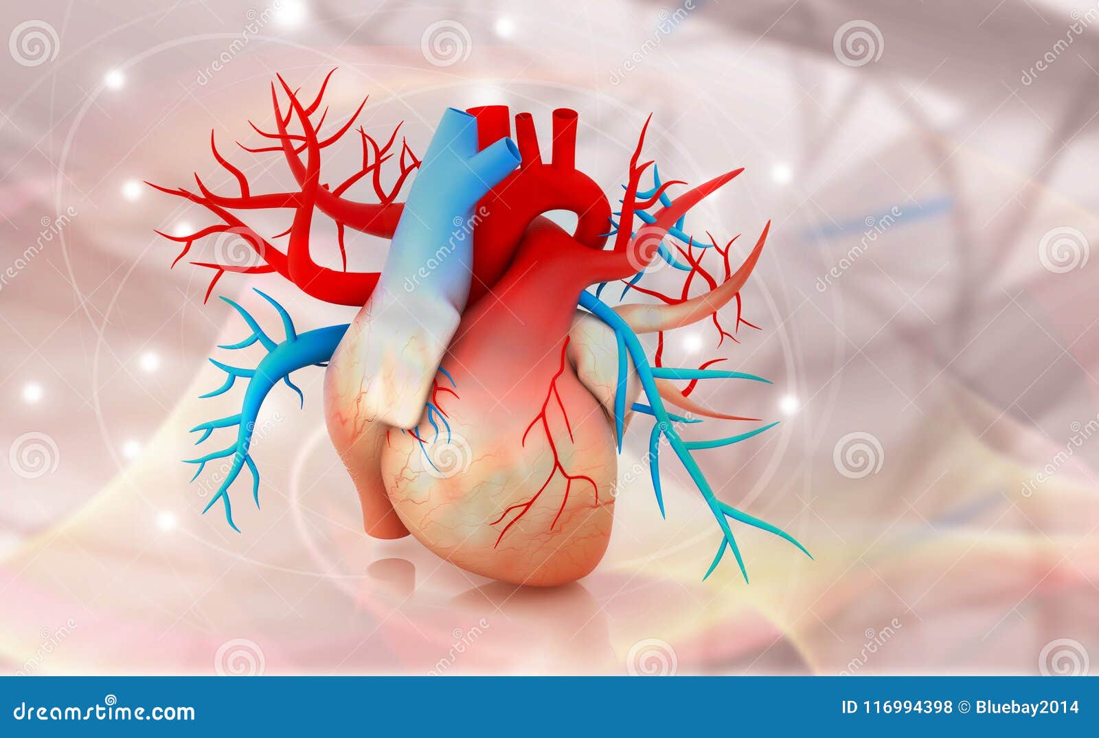 Human heart stock illustration. Illustration of digital - 116994398