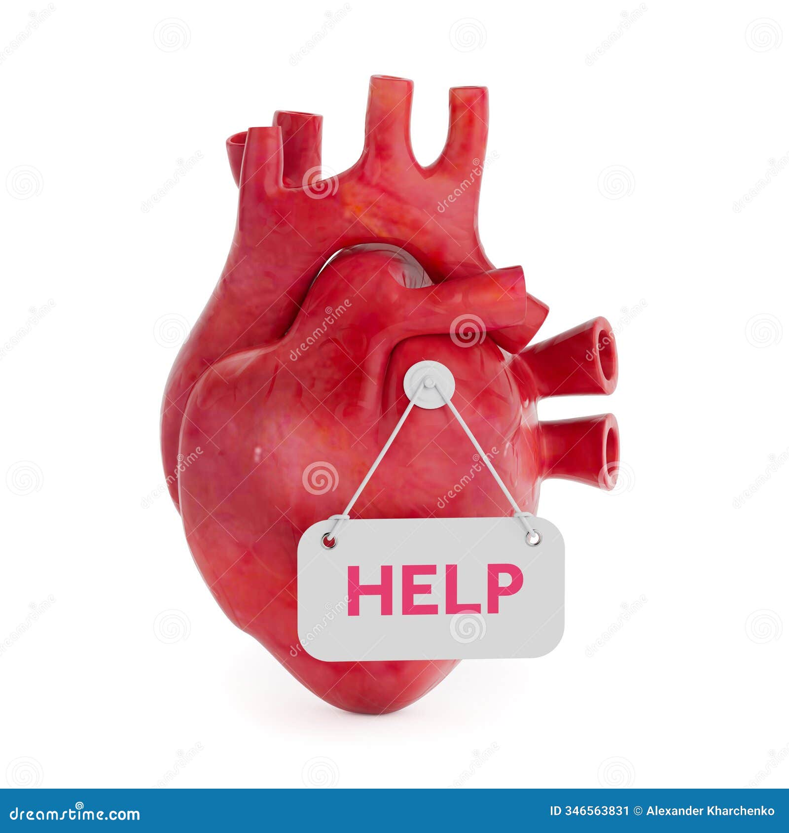 Human Heart Anatomy Internal Organ with Help Sign. 3d Rendering Stock ...