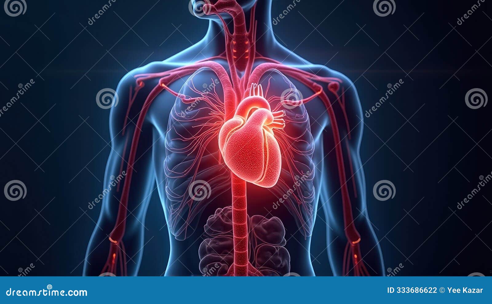 Human Heart Anatomy, a Stunning 3D Visualization Stock Illustration ... Human Heart Anatomy, a Stunning 3D Visualization Stock Illustration ...
