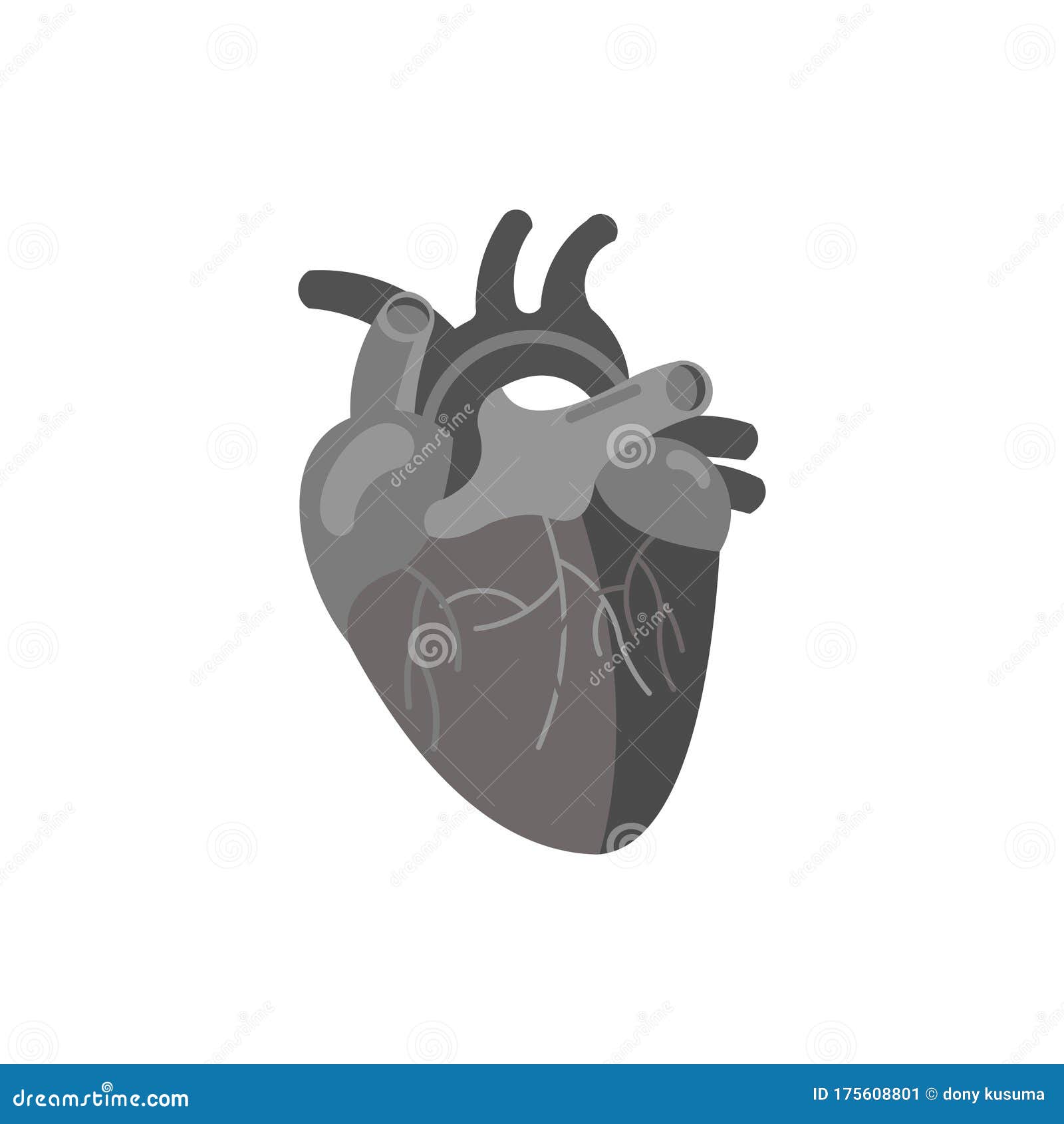 Human Heart Art Vector Illustration. Medicine Design Background Stock ...