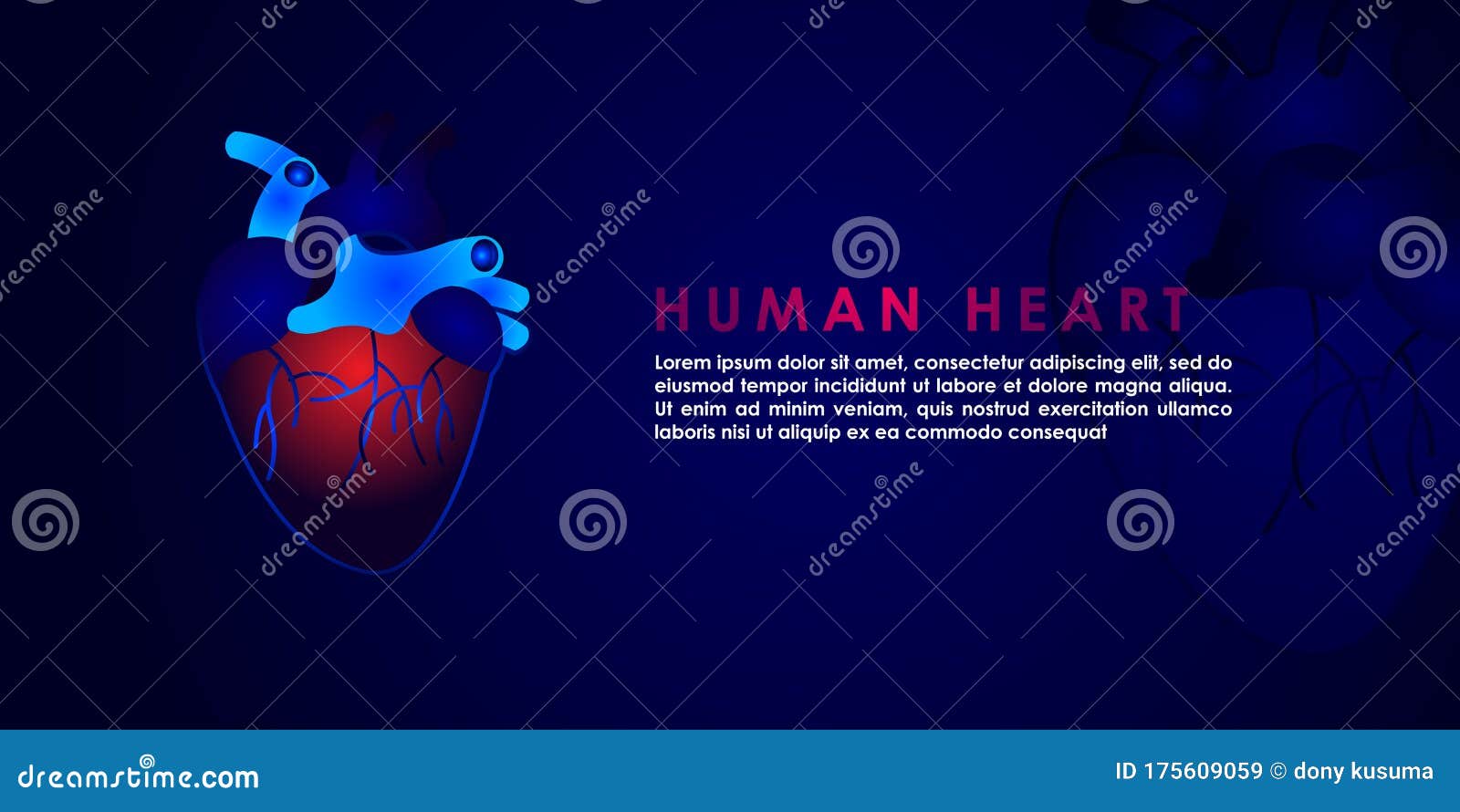 Human Heart Art Vector Illustration. Medicine Design Background Stock ...