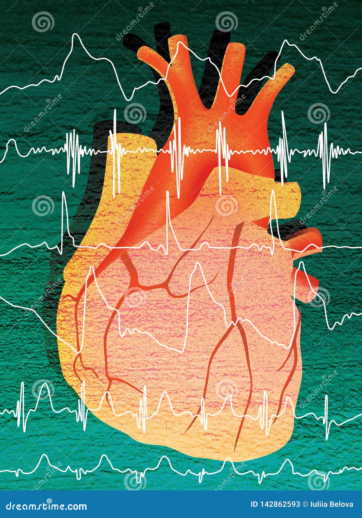 Human Heart and Cardiogram. Digital Illustration Stock Illustration ...