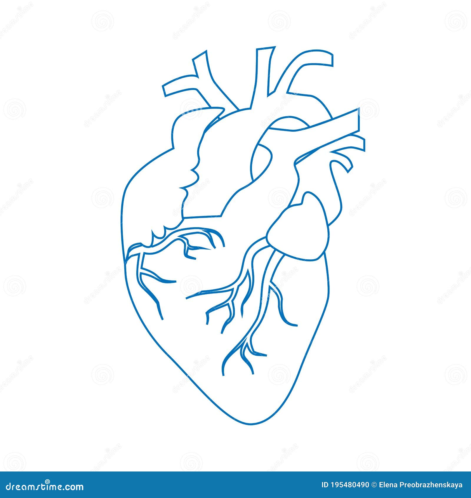 Human Heart, Circulatory System. Icon, Linear Vector Illustration Stock ...