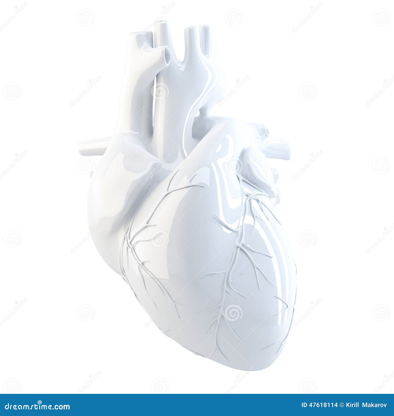Human Heart. 3d Render. Isolated, Contains Clipping Path. Stock ...