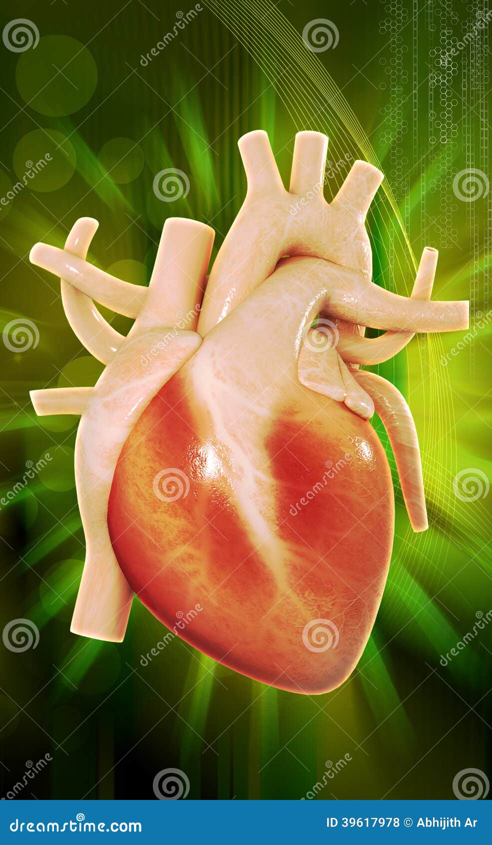 Human heart stock illustration. Illustration of painting - 39617978