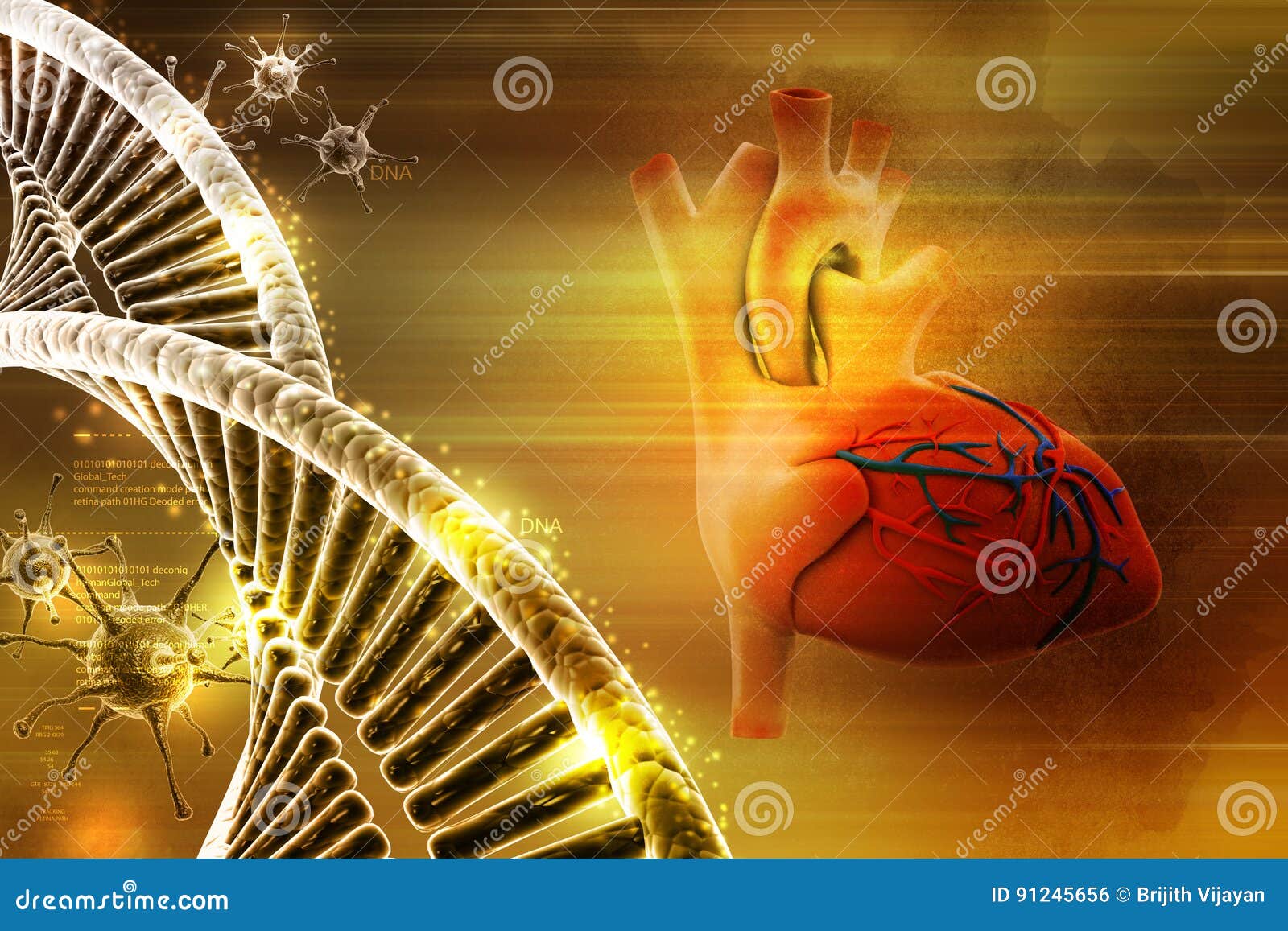 Human heart and dna stock illustration. Illustration of glowing - 91245656