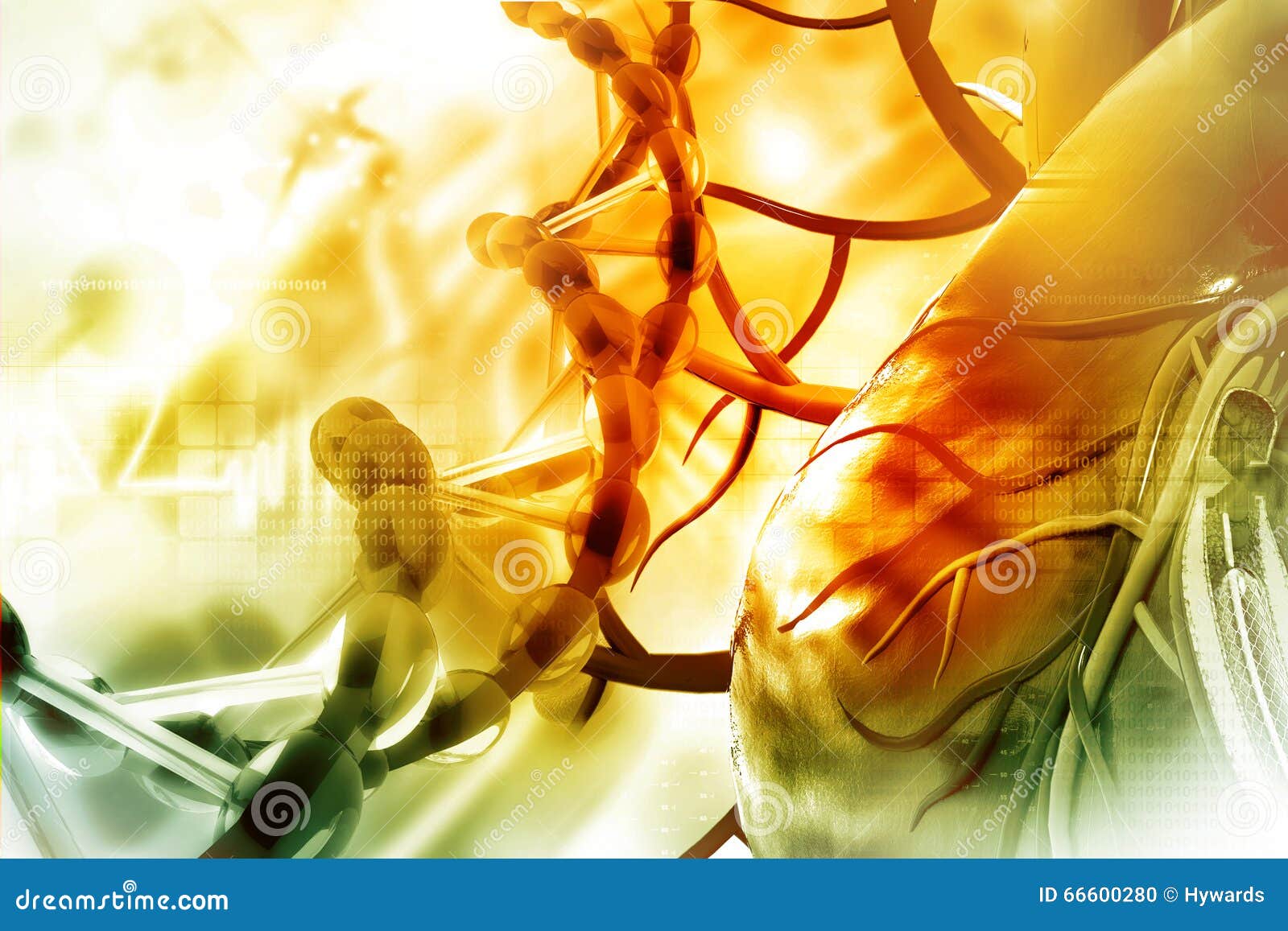 Human heart with dna stock illustration. Illustration of code - 66600280