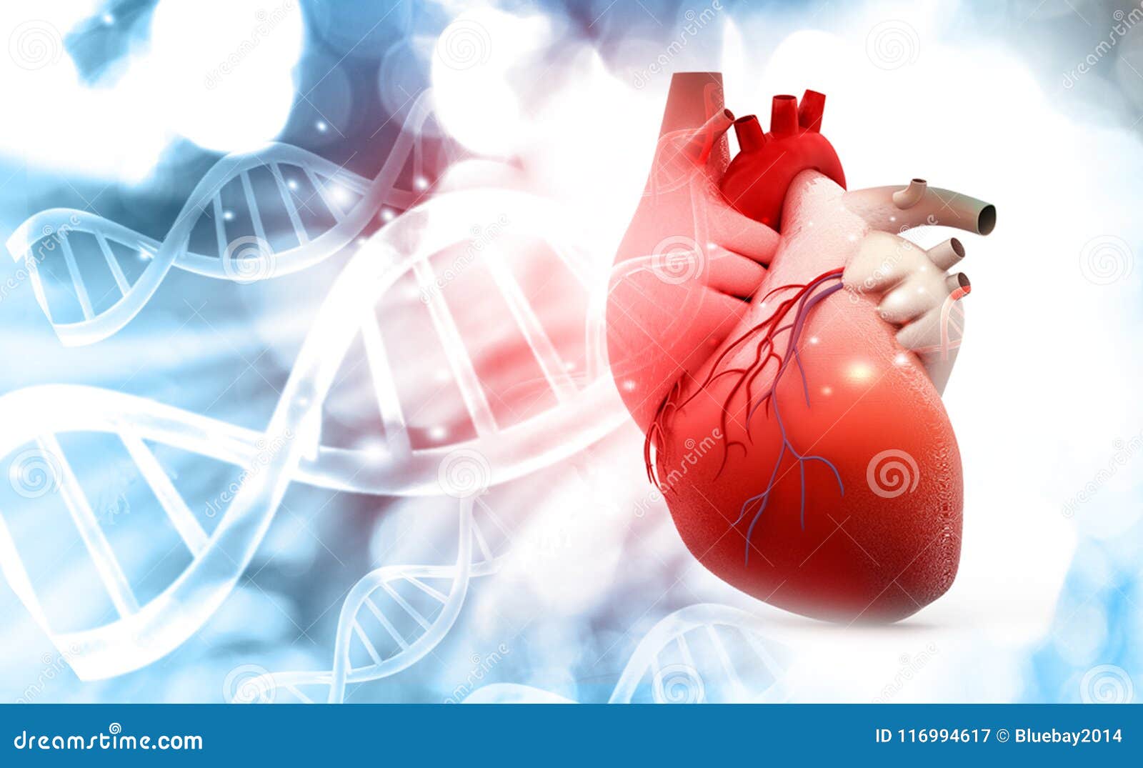 Dna Heart Stock Illustrations – 10,955 Dna Heart Stock Illustrations ...
