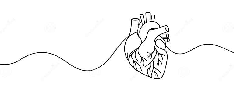 Human Heart Drawn with a Line. Vector Illustration Stock Vector ...