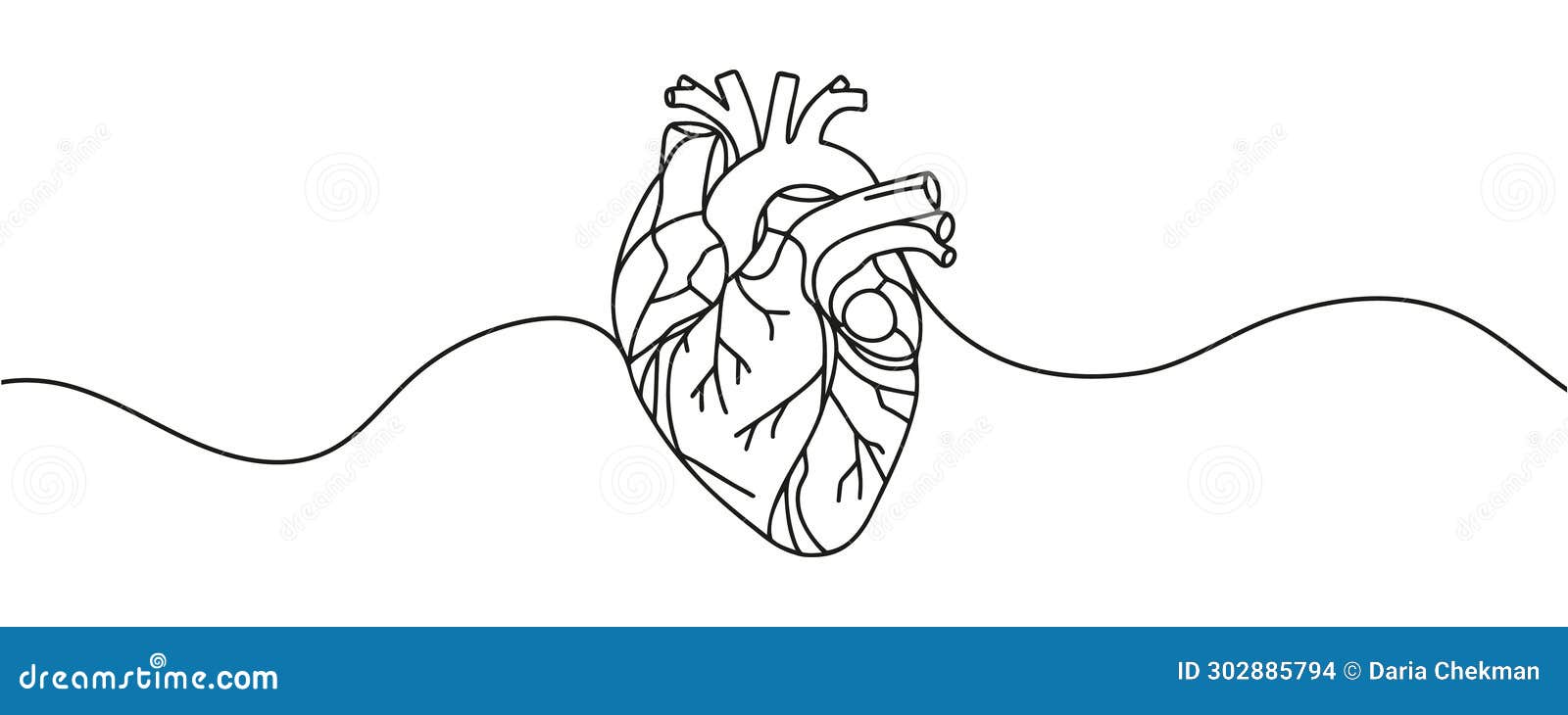 Human Heart Drawn with a Line. Vector Illustration Stock Vector ...
