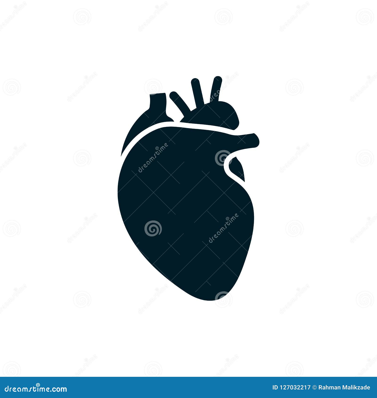 Human Heart Icon Illustration Vector Stock Vector - Illustration of ...