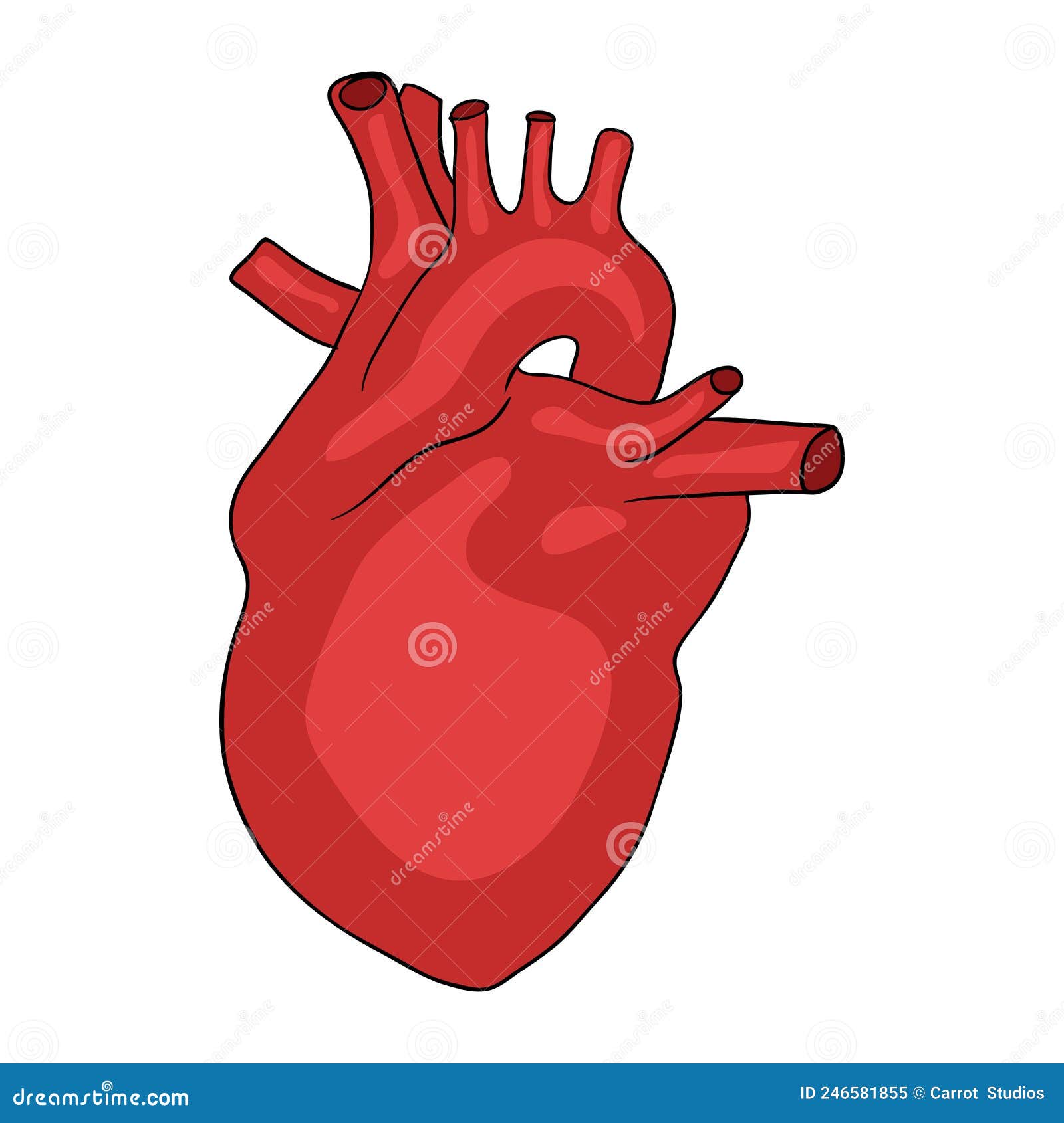 Human Heart Icon Vector stock vector. Illustration of cardiovascular ...