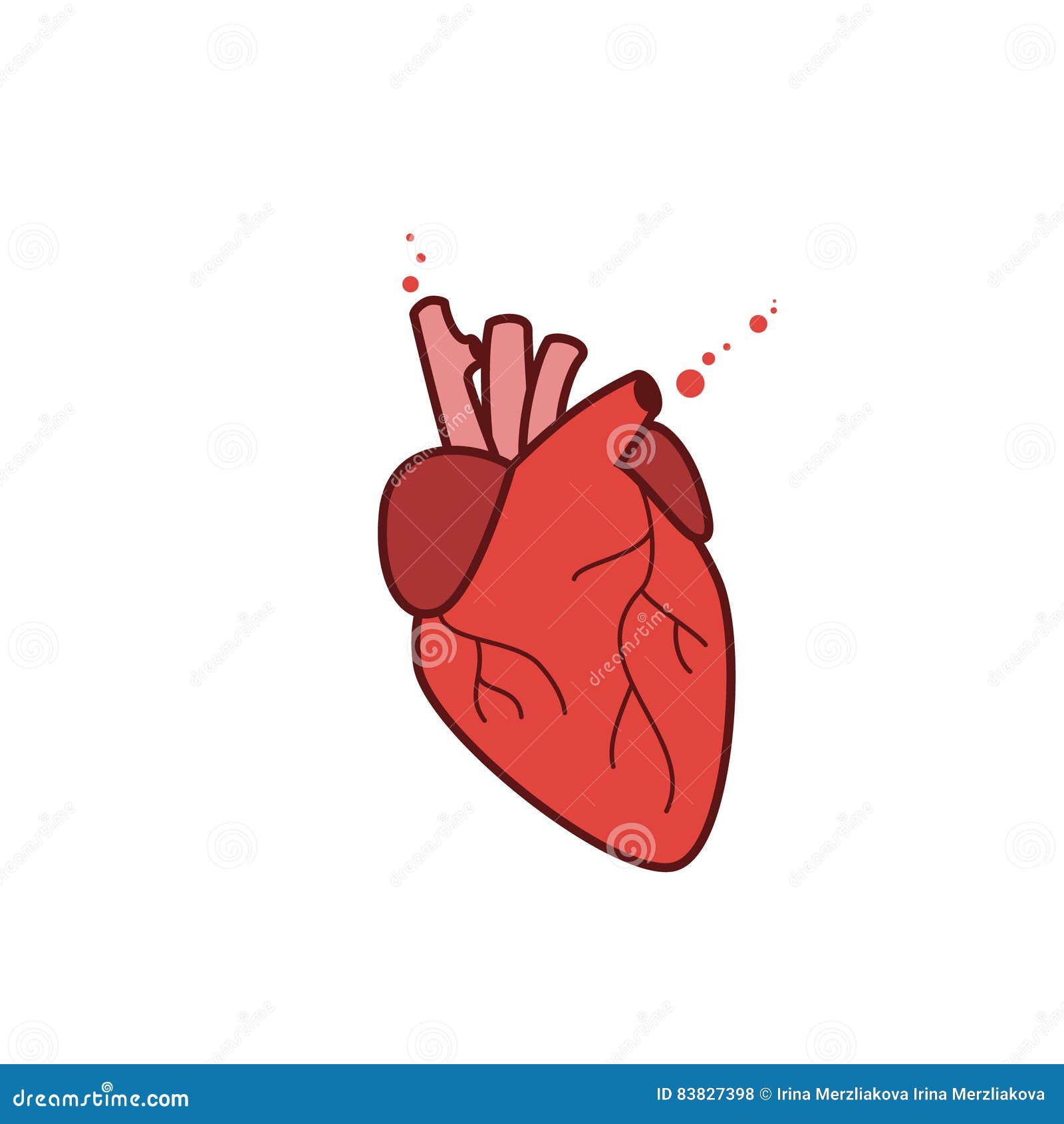 Human Heart Icon Vector Realistic Illustration Stock Vector ...