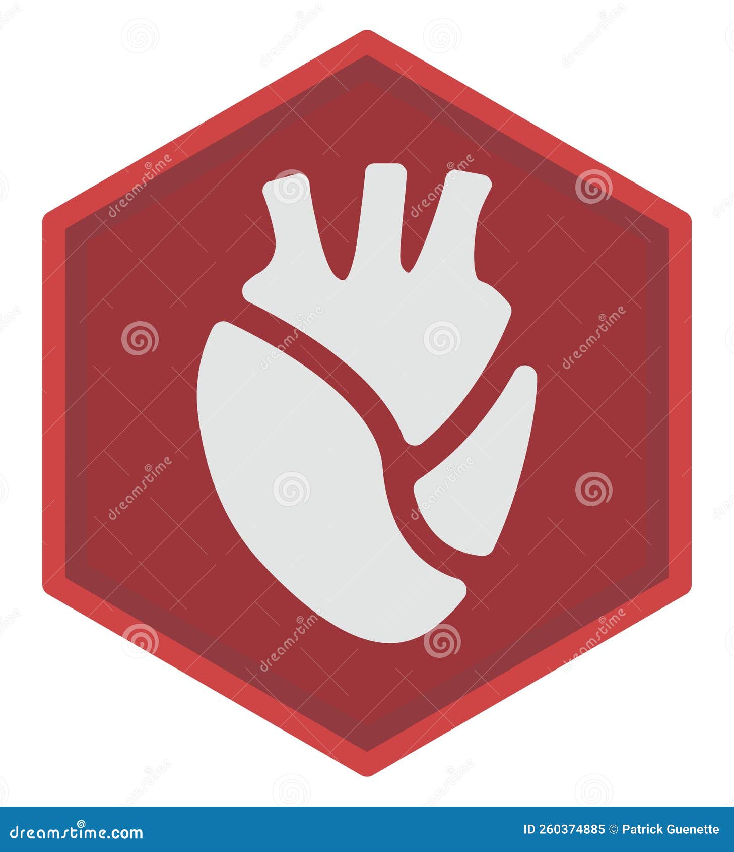 Human heart, icon stock vector. Illustration of science - 260374885
