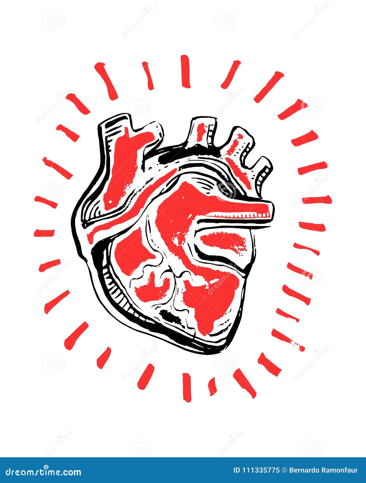 Human Heart Ink Hand Drawn Illustration Stock Vector - Illustration of ...