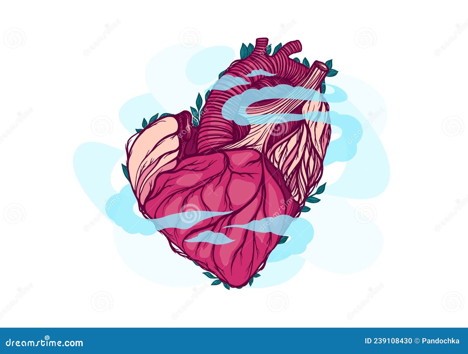 Human Heart, Internal Organ, Health, Vector Graphics, Illustration ...