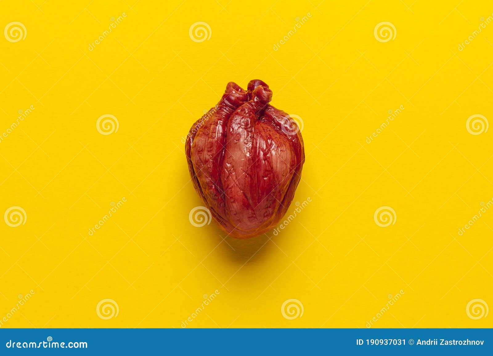 3,800 Human Heart Attack Stock Photos - Free & Royalty-Free Stock ...