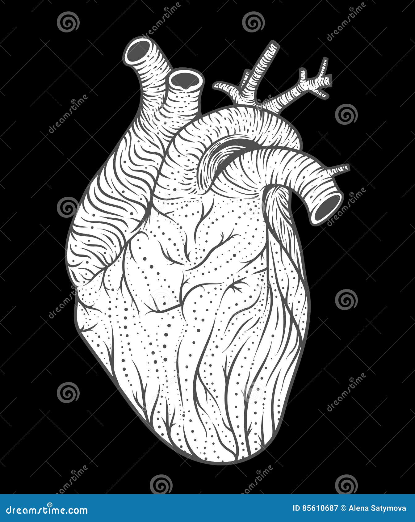Human Heart Line Art. Vector Illustration Stock Vector - Illustration ...