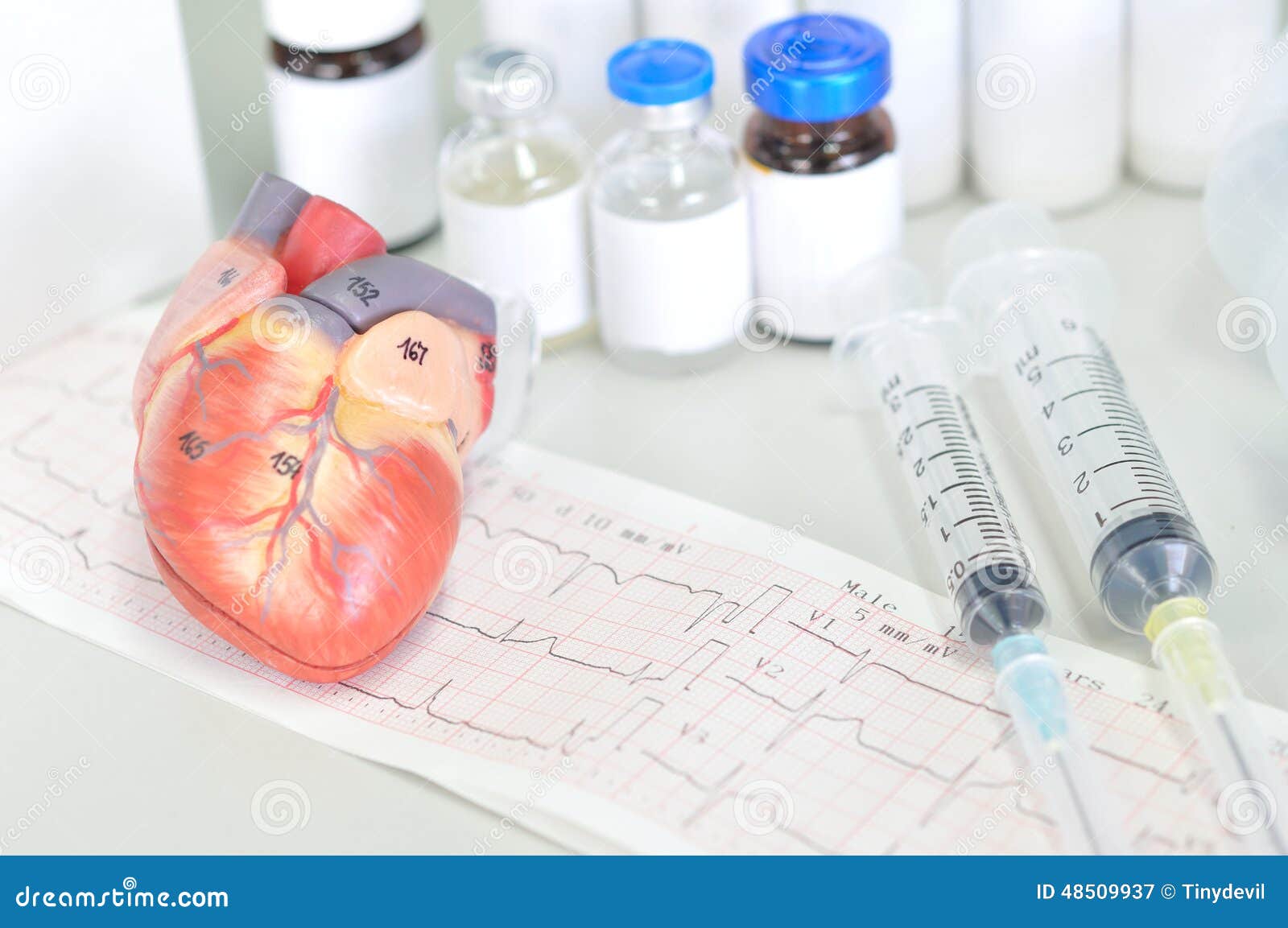 Human heart model stock image. Image of science, research - 48509937