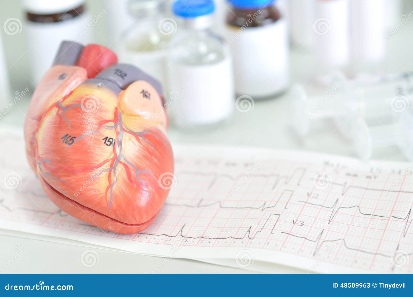Human heart model stock image. Image of therapy, electrode - 48509963