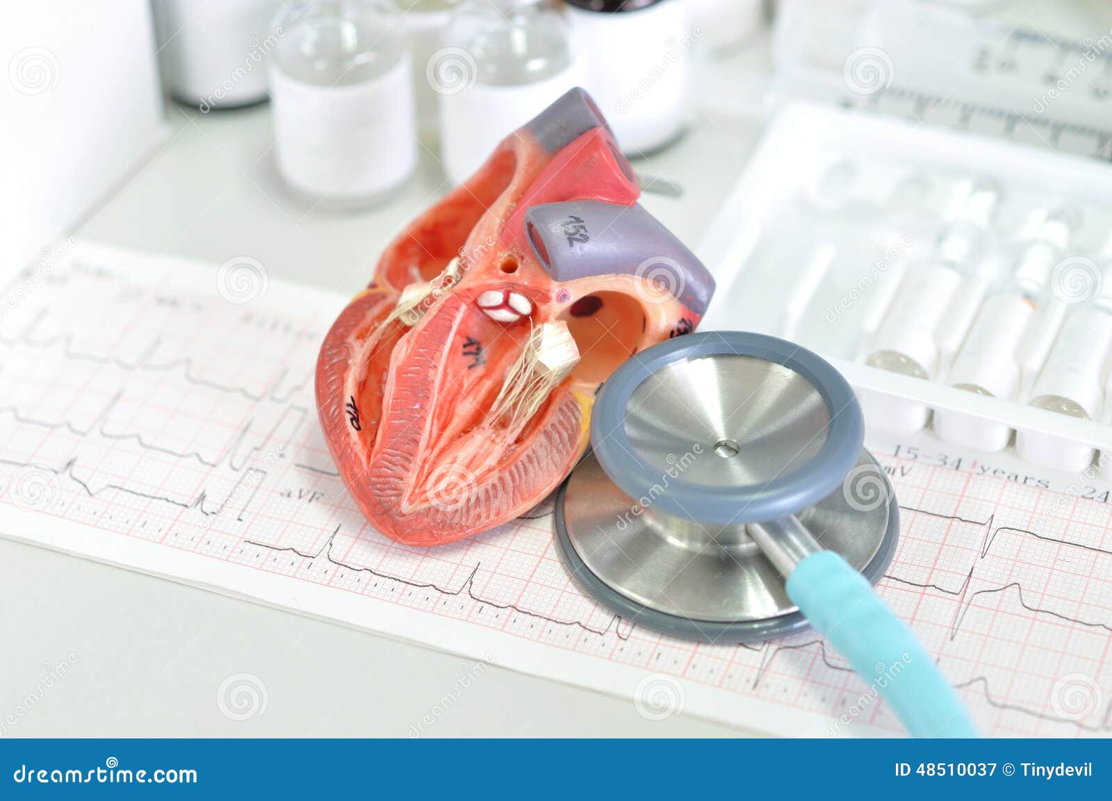 Human heart model stock image. Image of medical, study - 48510037