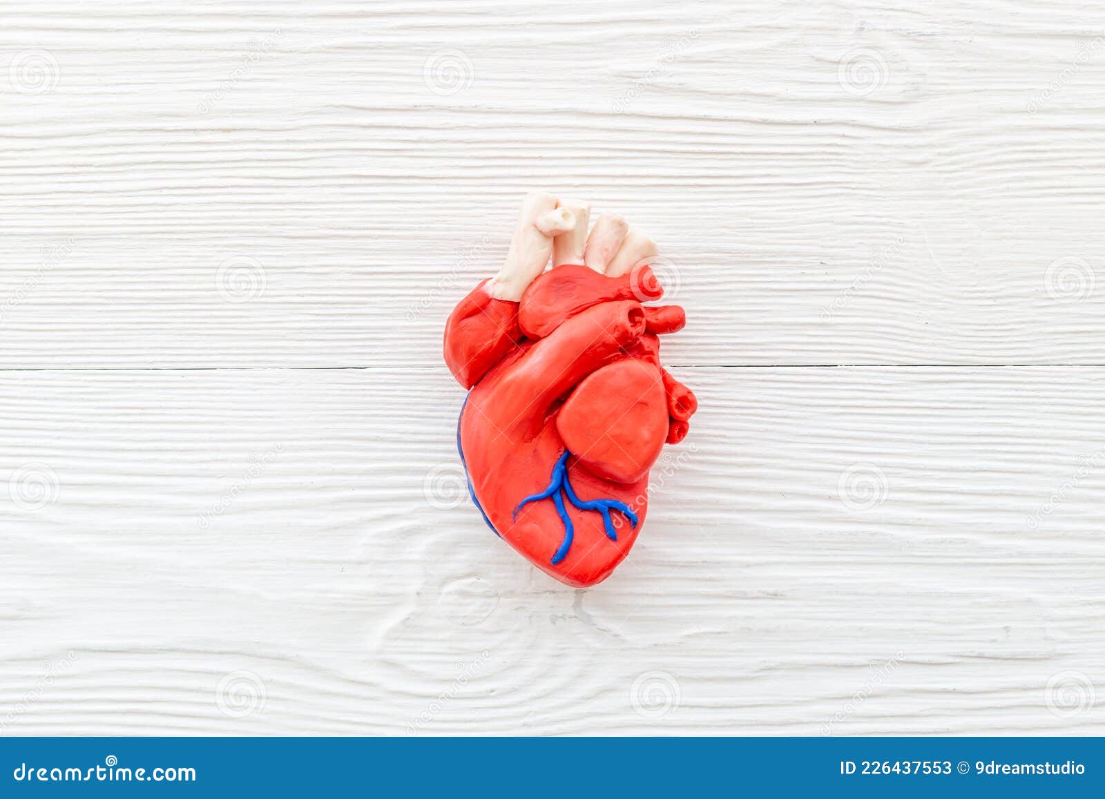 Human Heart Model Made of Plastiline, Top View Stock Image - Image of ...