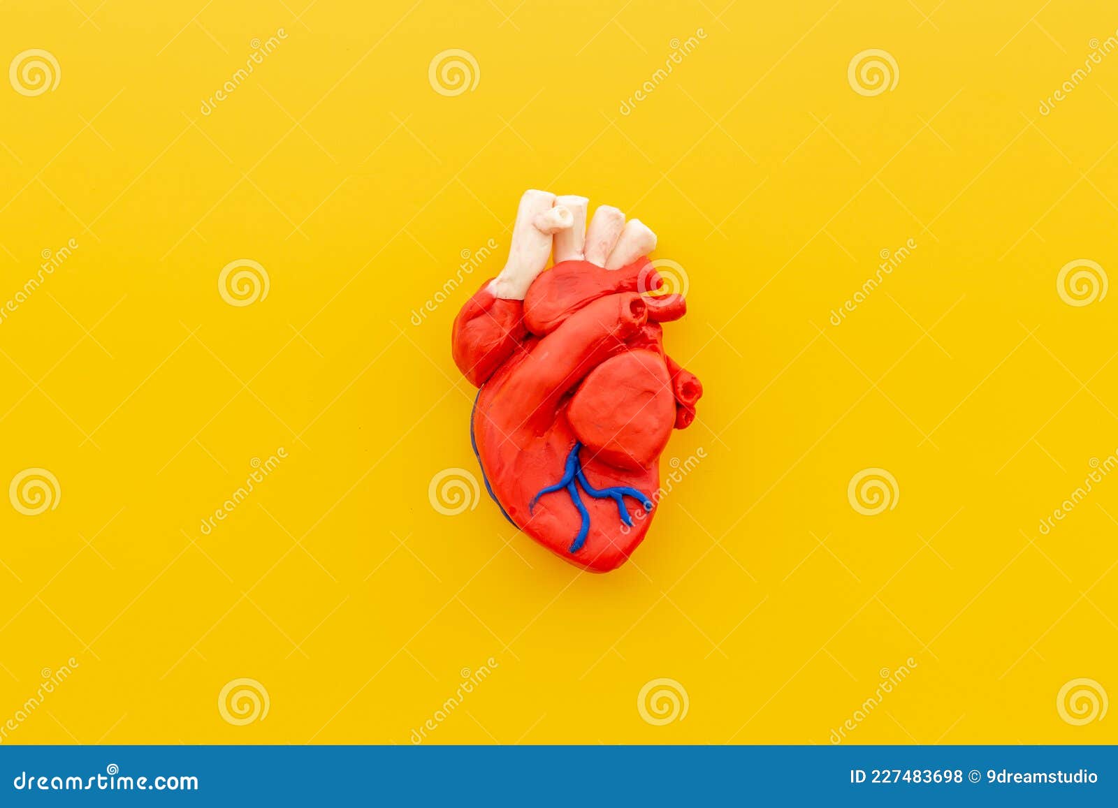 Human Heart Model Made of Plastiline, Top View Stock Photo - Image of ...