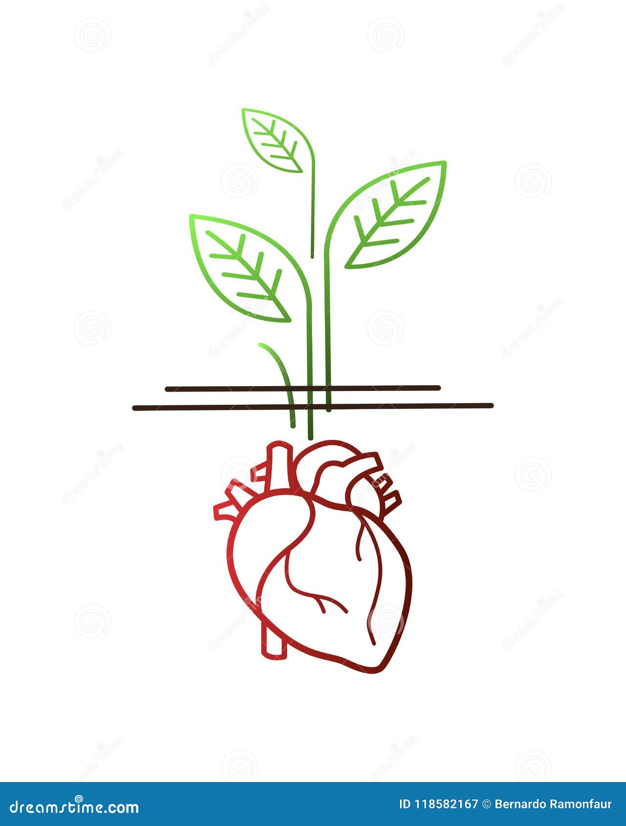 Human Heart and Plants Vector Illustration Stock Vector - Illustration ...