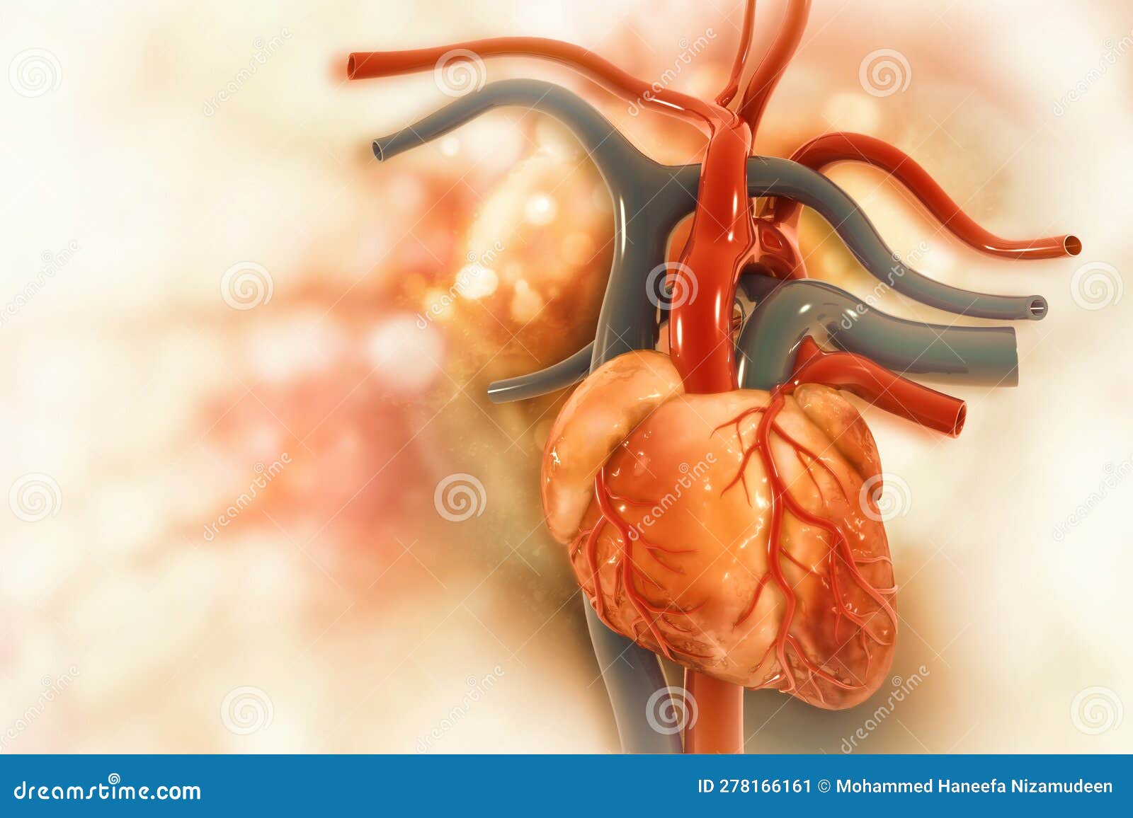 Human Heart on Scientific Background Stock Illustration - Illustration ...