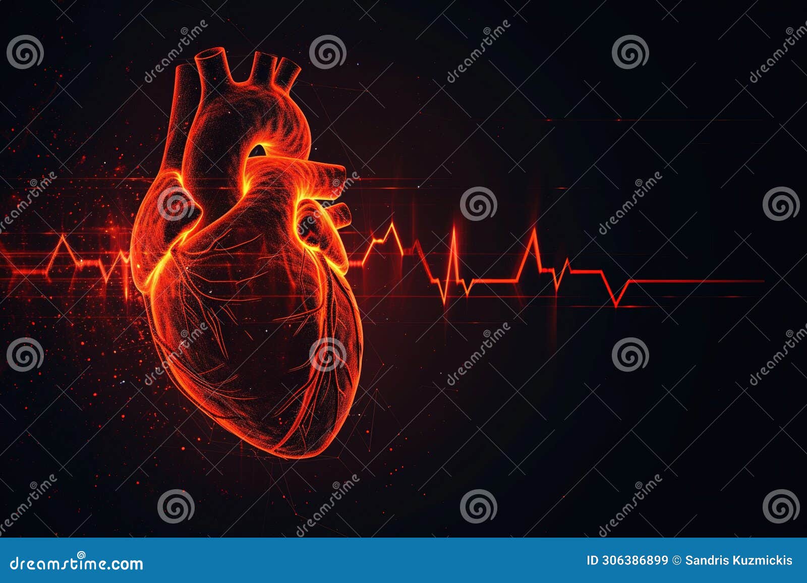 Human Heart Shape with Red Cardio Pulse Line. Generative AI Stock ...