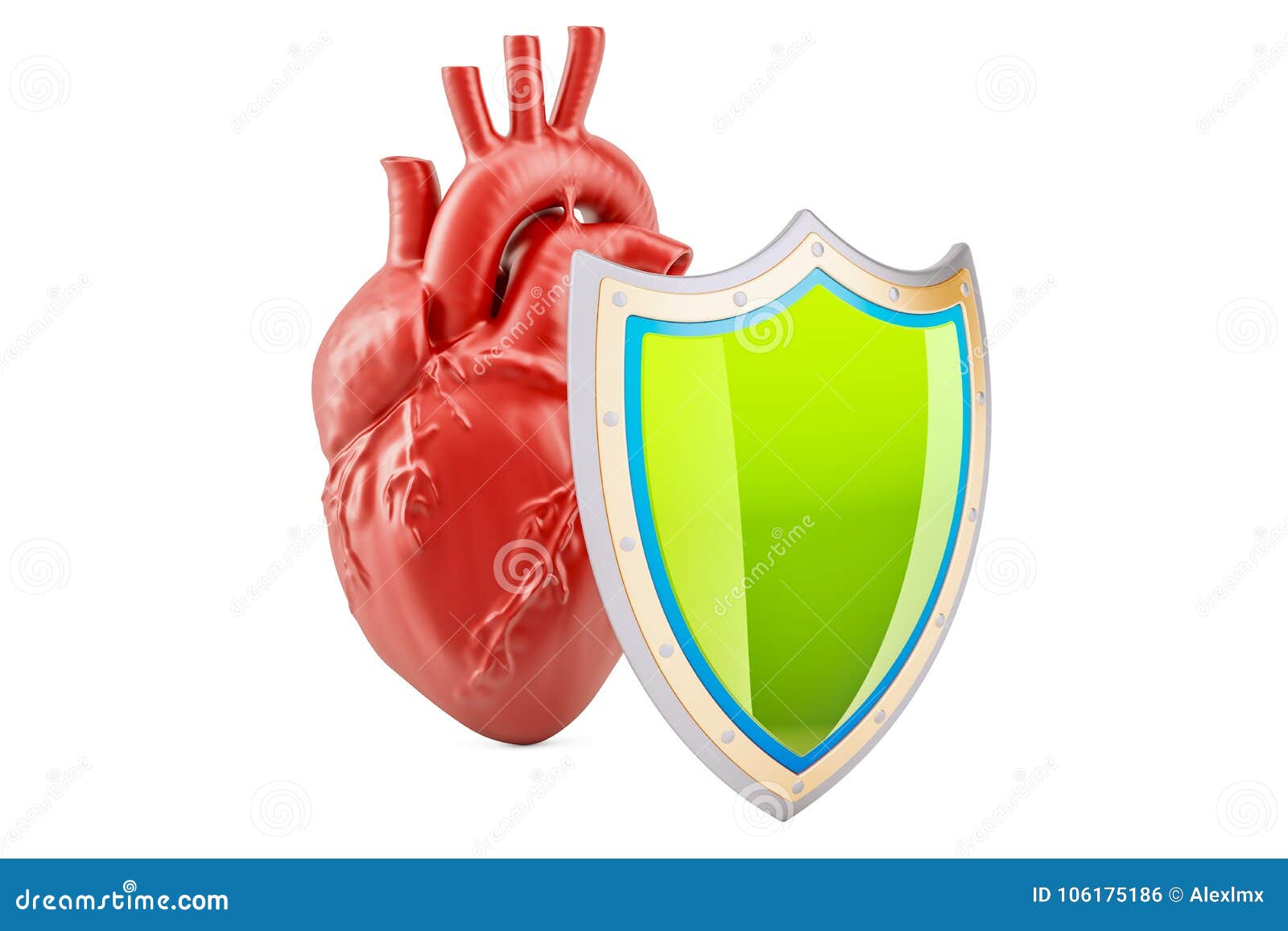 Human Heart with Shield, Health Insurance Concept. 3D Rendering Stock ...