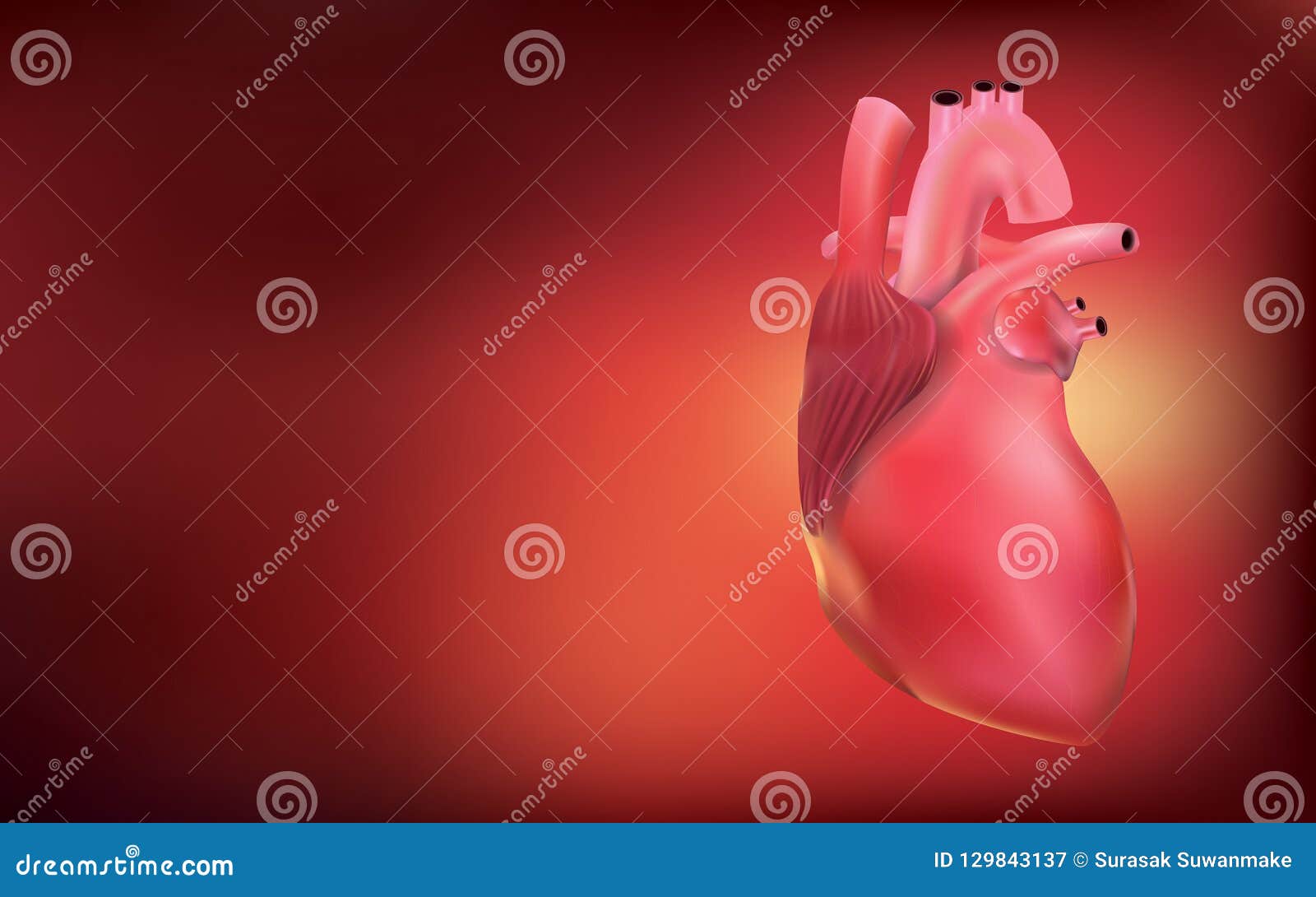Human Heart Show Powder is a 3D Image. Stock Illustration ...